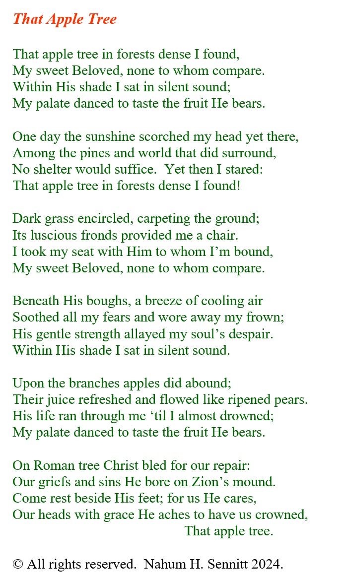 That Apple Tree (Poem) – Liquørice Fjørds